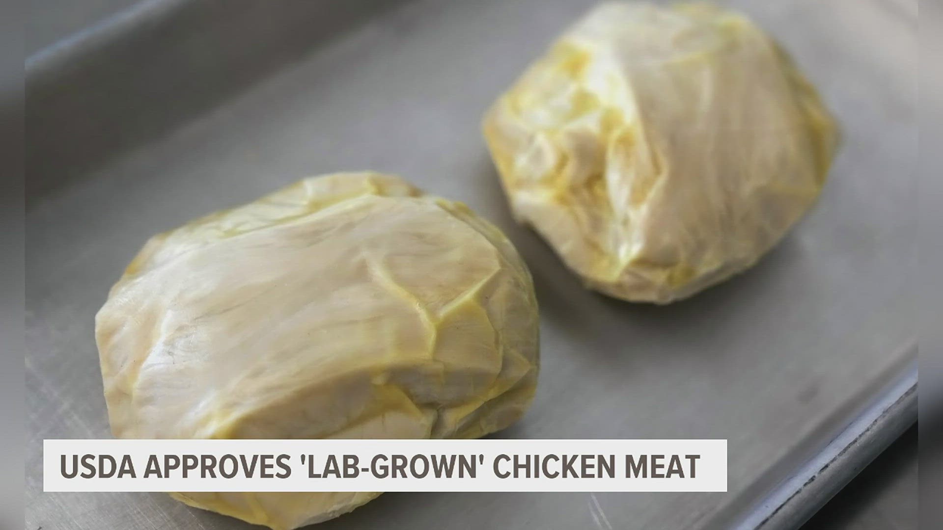 USDA approves 'lab-grown' chicken meat | wqad.com
