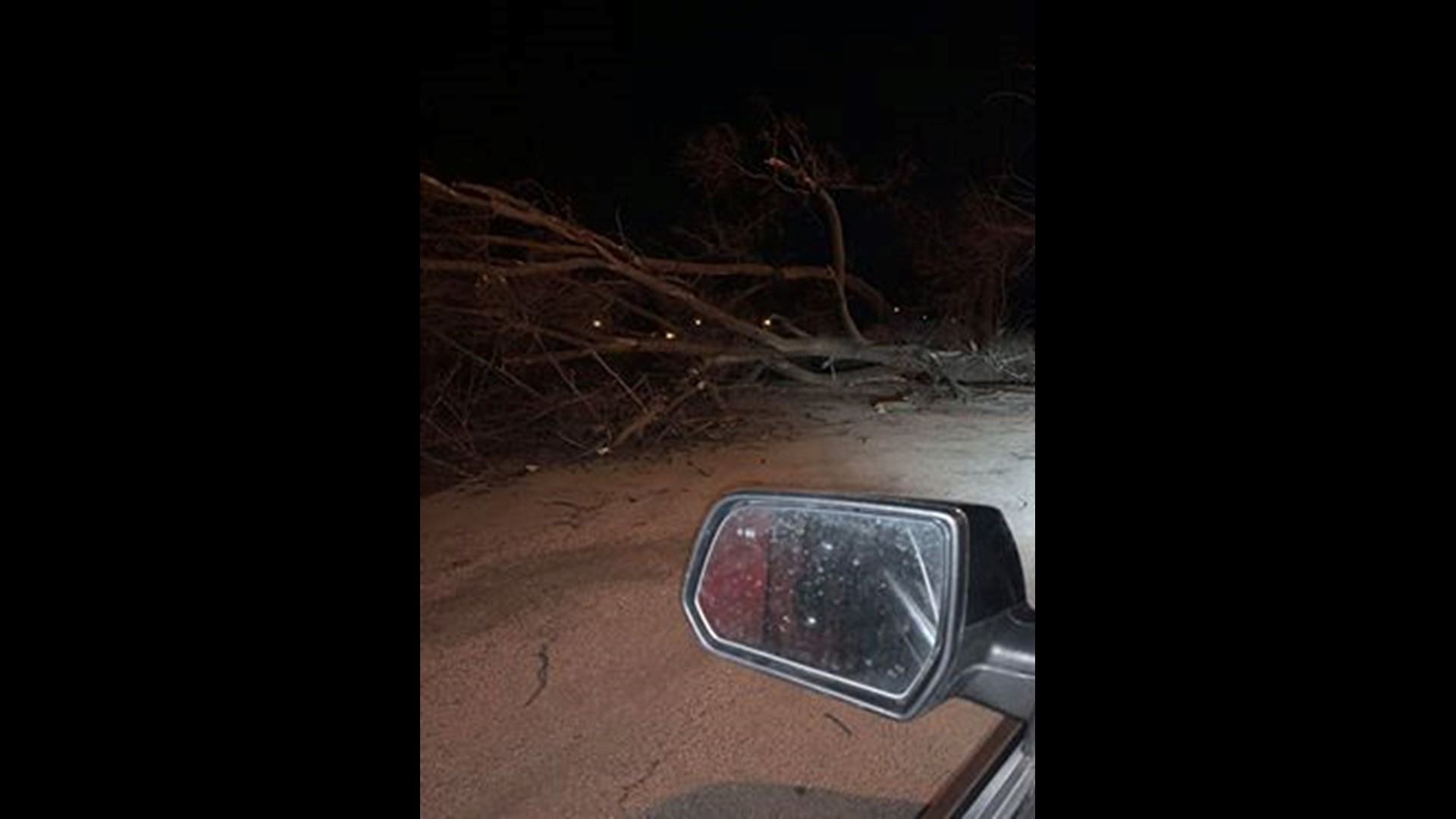 Photos: Winds topping 50 mph cause damage, knock down tree | wqad.com