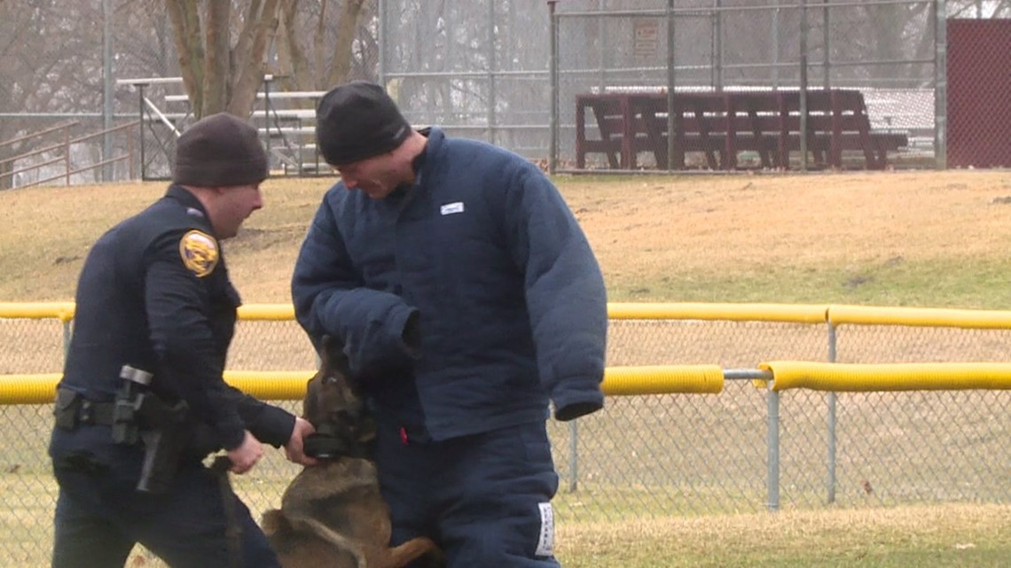 Take an inside look at what it’s like working with a police dog | wqad.com