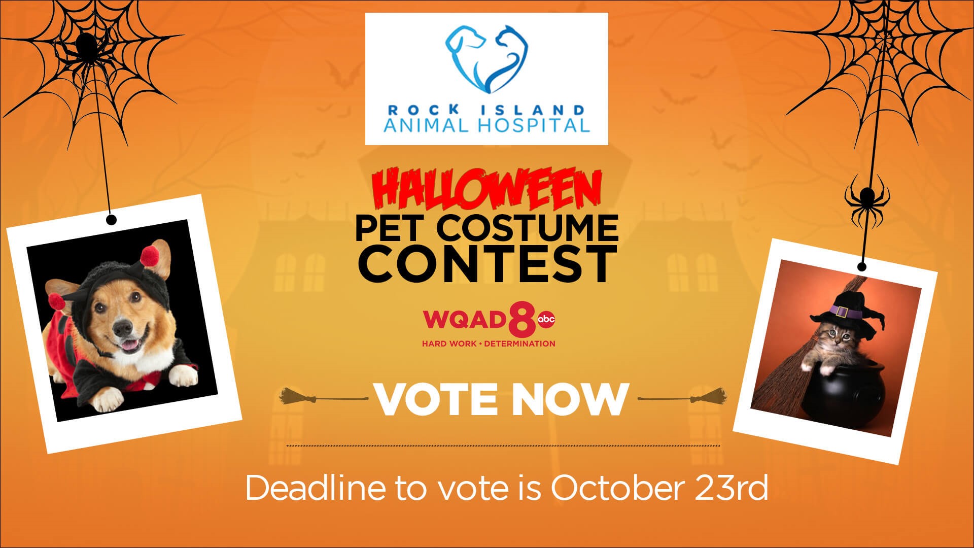 Halloween Pet Costume Contest | wqad.com