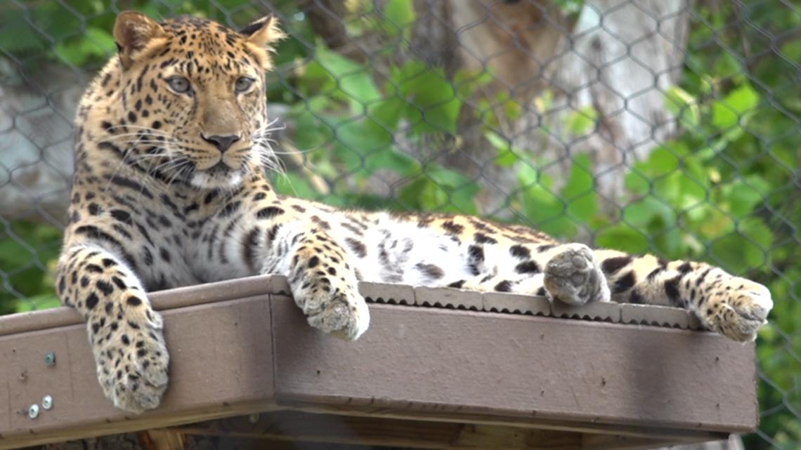 John Deere is opening a new facility in Mattoon, Illinois | wqad.com