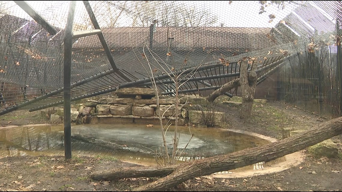 Niabi Zoo opening date announced | wqad.com