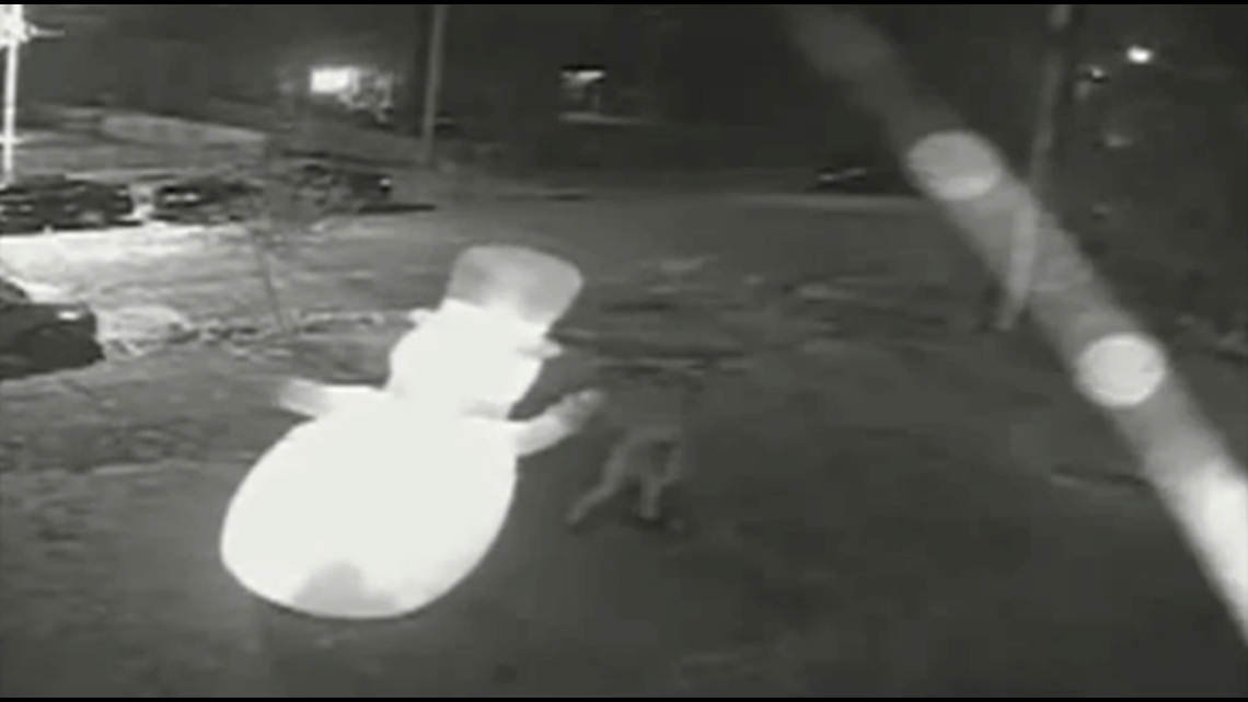 ‘Grinch’ stabs Frosty the Snowman in St. Louis ‘hit’ caught on camera ...