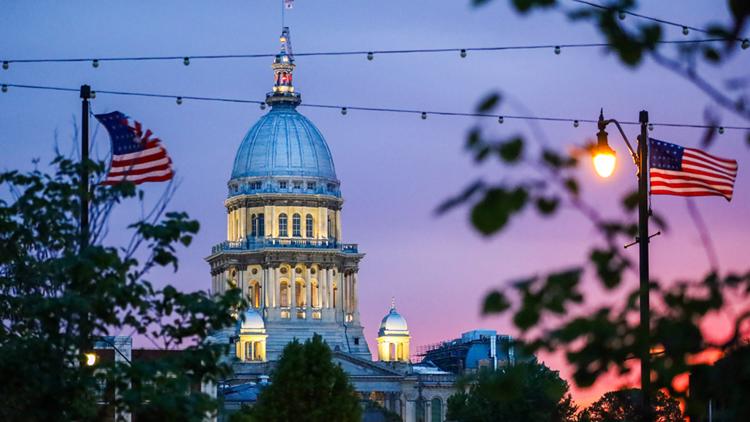 New Illinois laws for 2025 | wqad.com