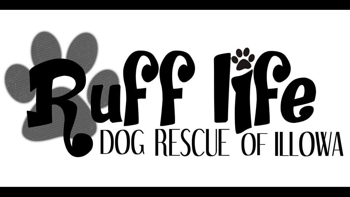 Ruff Life Dog Rescue of Illowa has been selected as the Three Degree ...