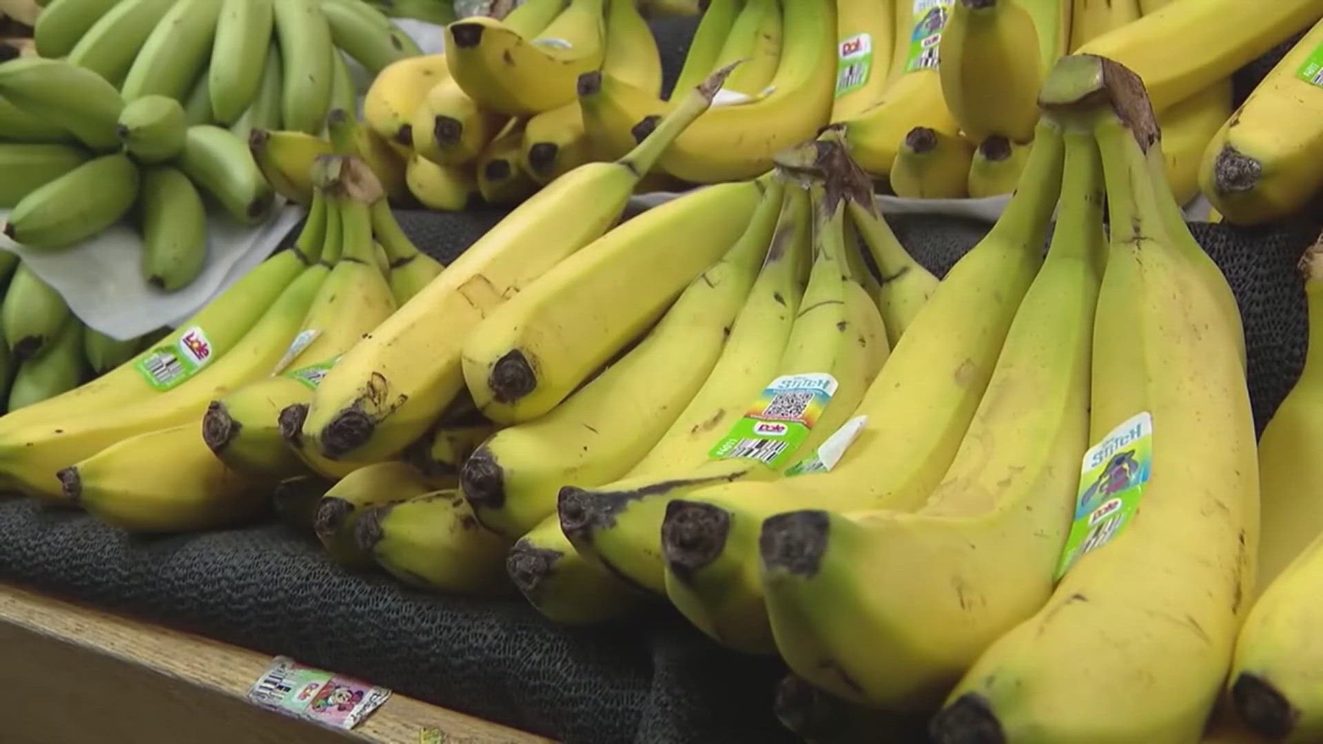 How changes to Iowa's SNAP program could impact your family | wqad.com