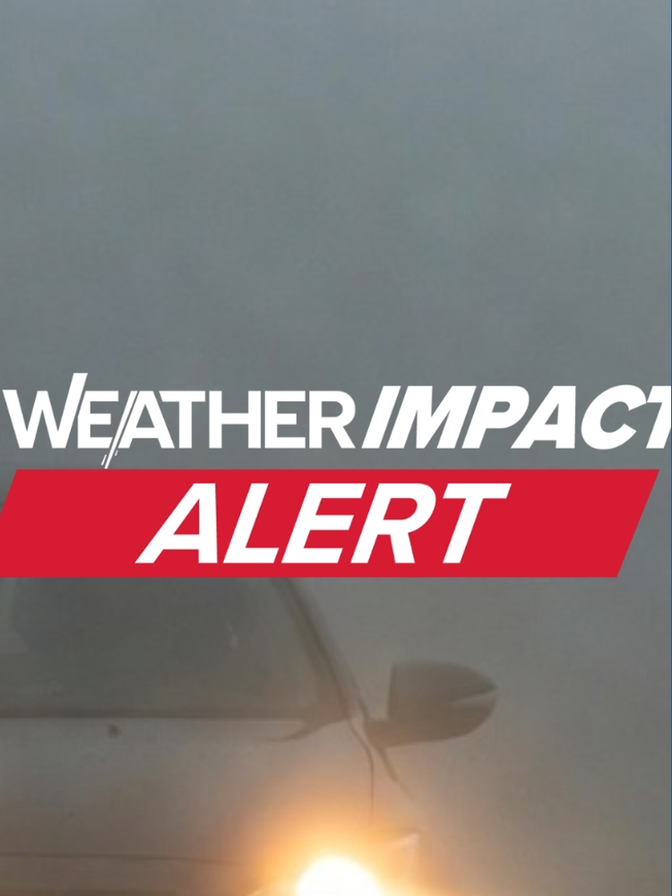 Weather Impact Alert: Dense fog likely Tuesday morning | wqad.com
