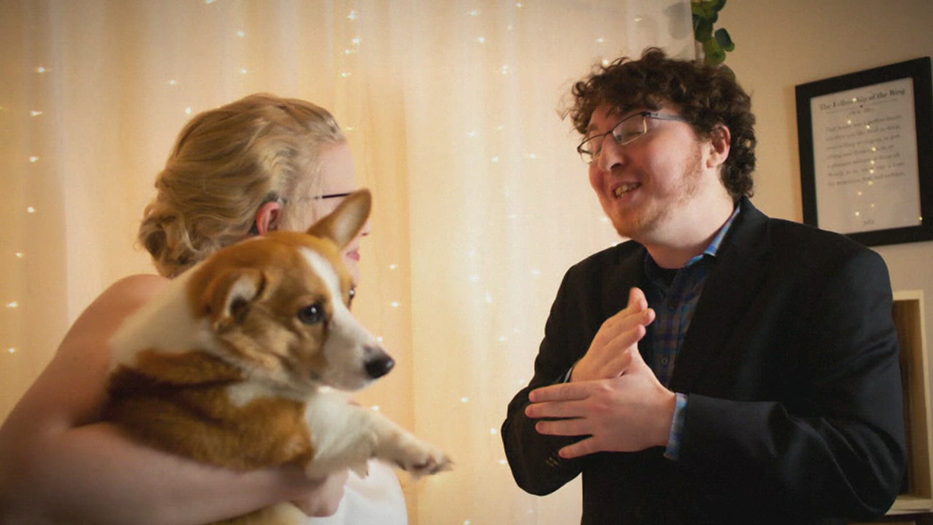 Corgi becomes a social media icon for understanding American Sign ...