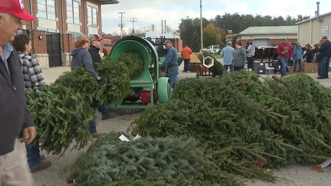Where to dispose of Christmas trees and decorations | wqad.com