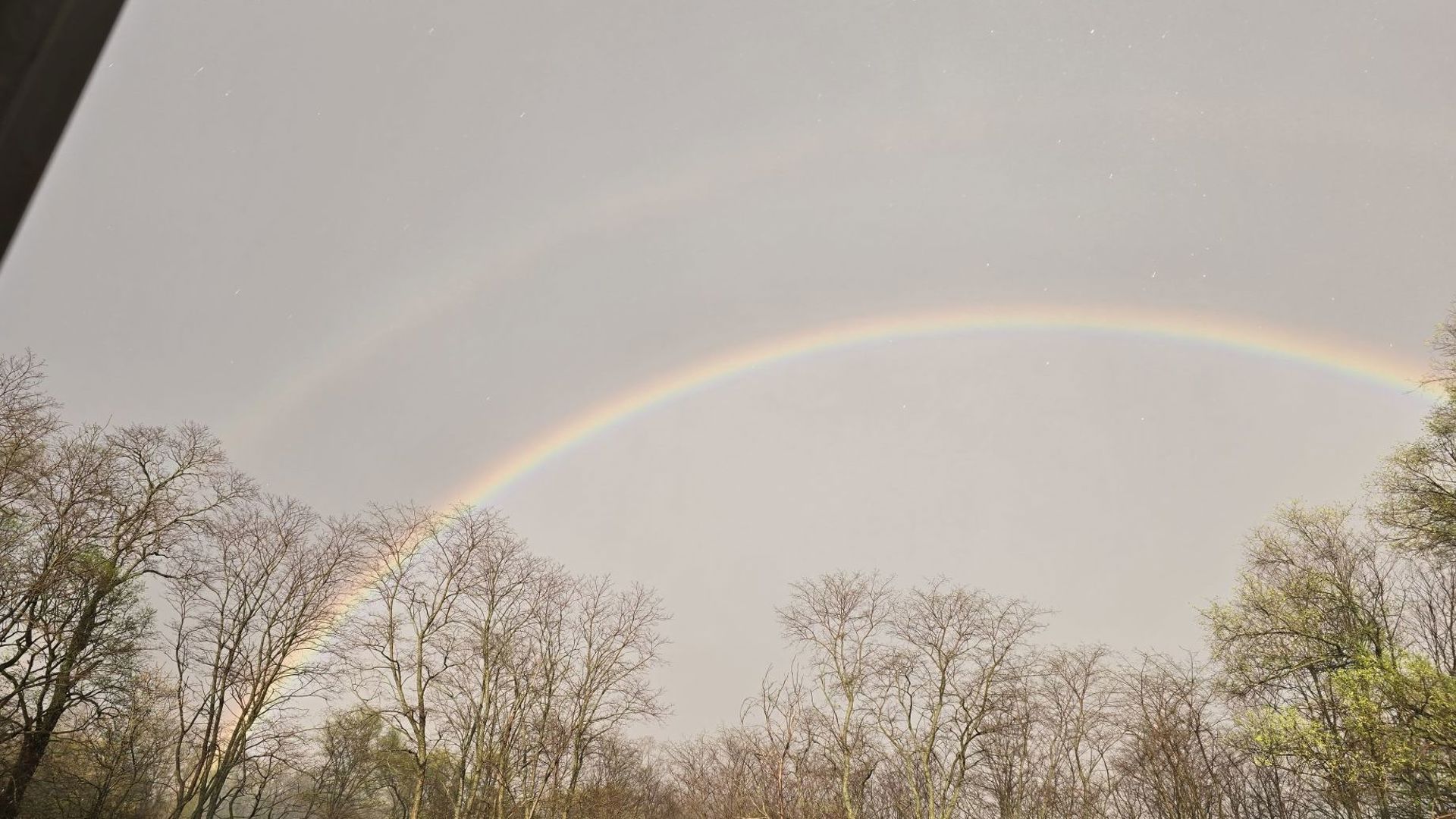 Severe weather aftermath: Greater Quad Cities region | wqad.com