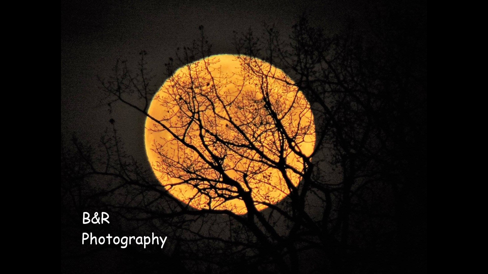 Photos: Harvest moon just in time for Halloween | wqad.com