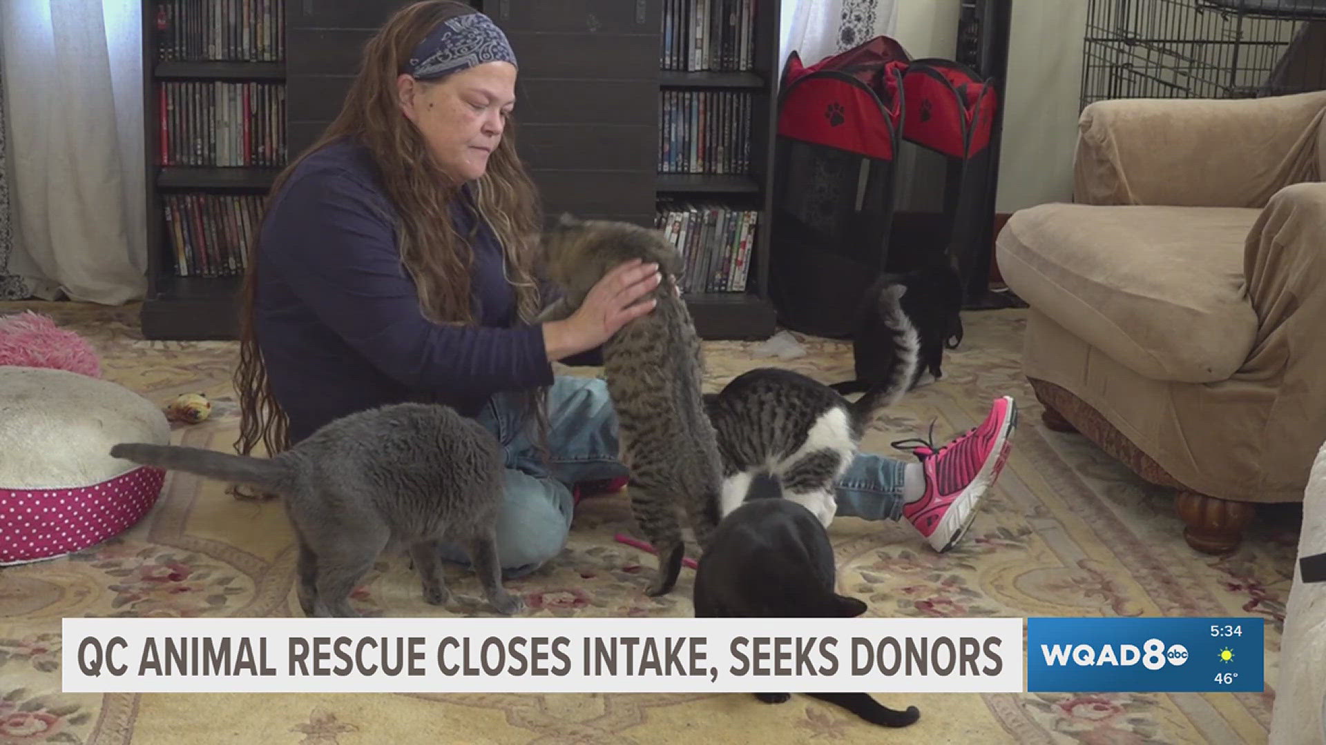 Anonymous donor helps Quad Cities animal rescue erase more than $23K in vet debt to resume ...