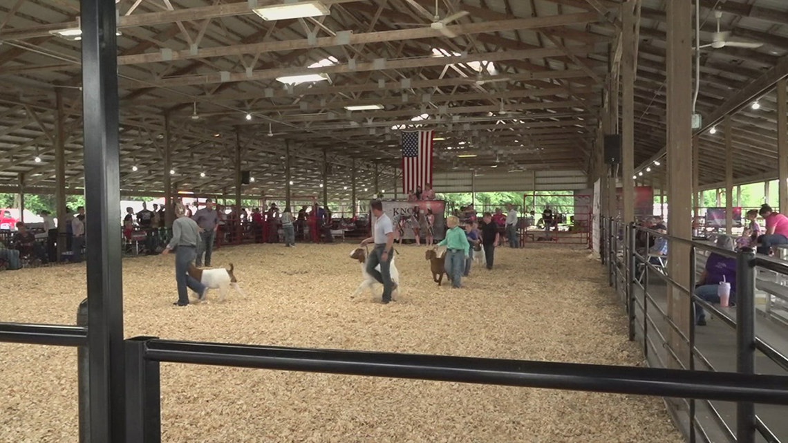 Knox County Fair is underway | wqad.com