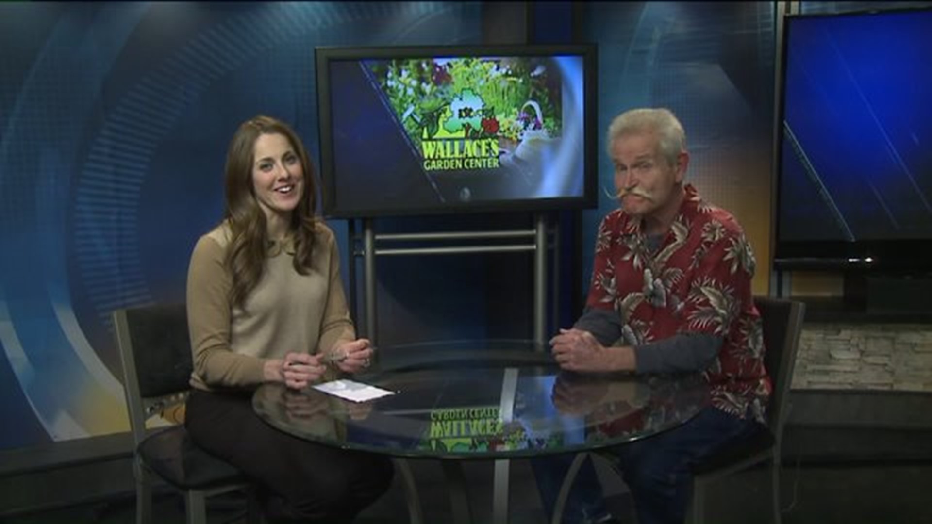 Craig Talks Tomatoes, Weeds, Grasses, and Early Tree Budding | wqad.com