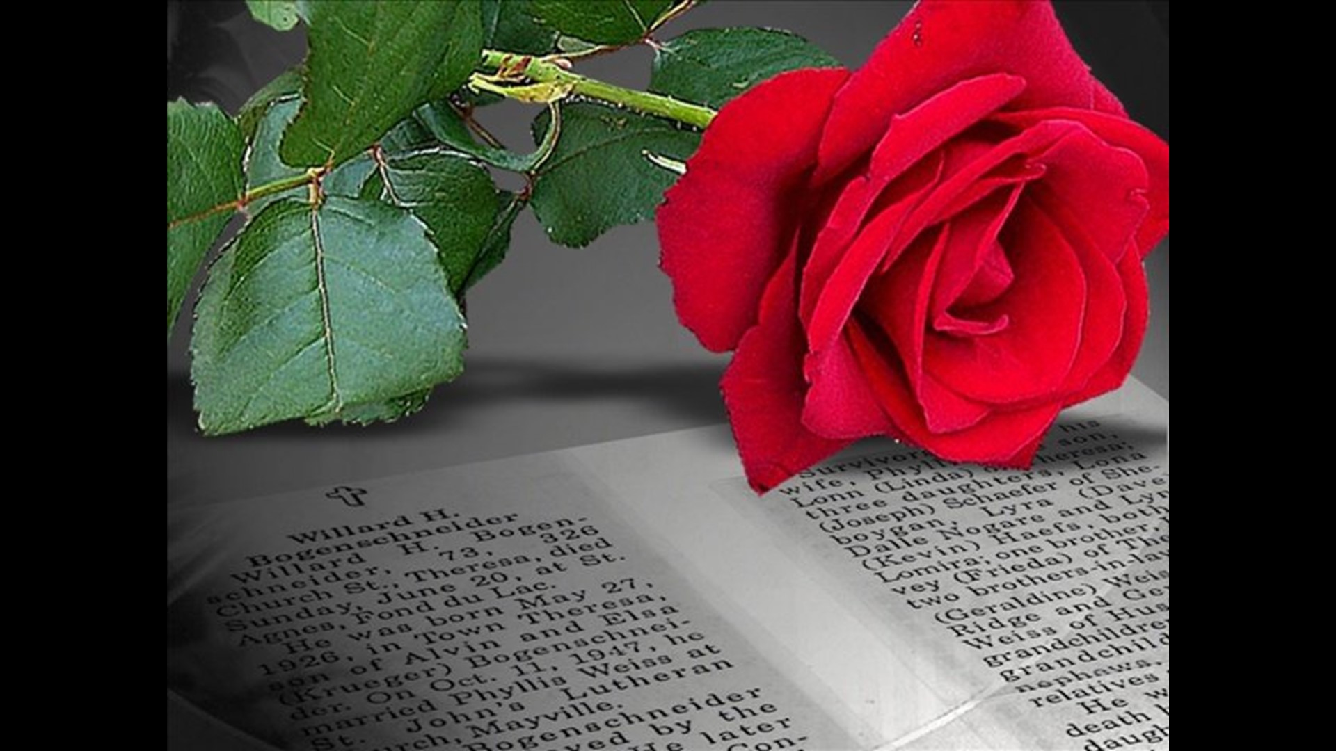 ‘Gone With the Wind’ actress Alicia Rhett dies at 98 | wqad.com