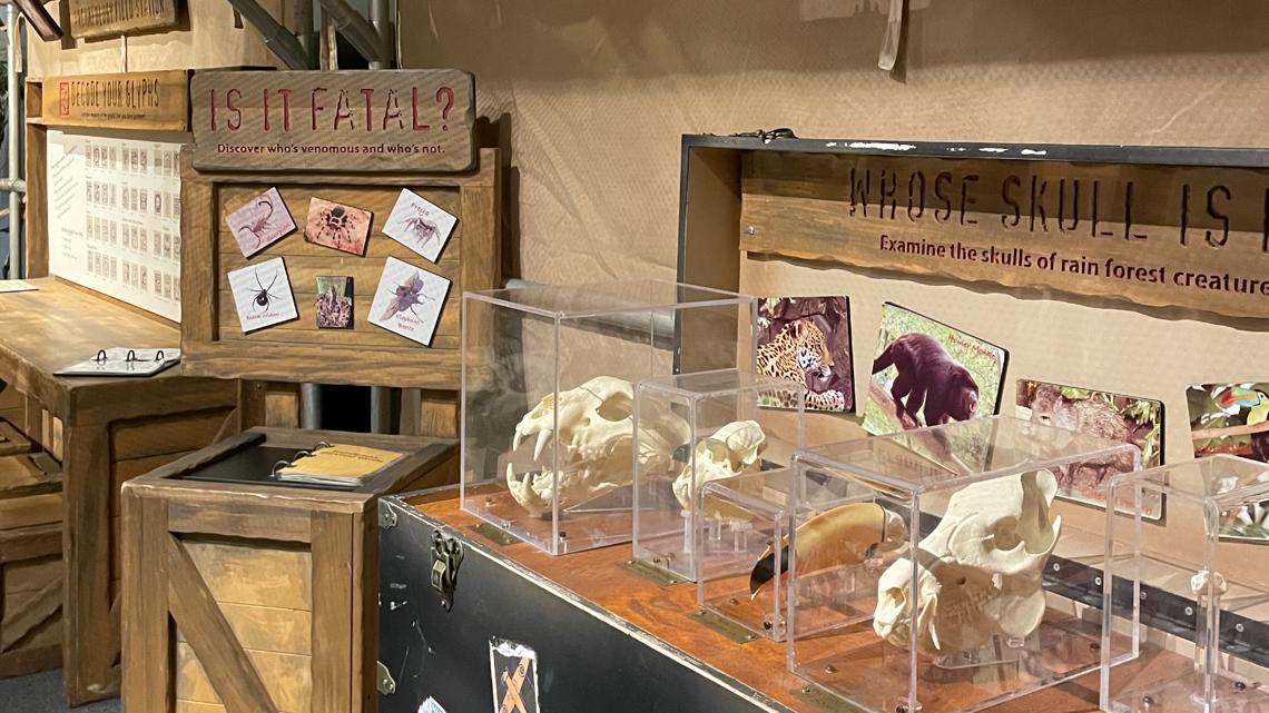 'Mysteries of the Mayan Medallion' interactive exhibit opens at Putnam ...