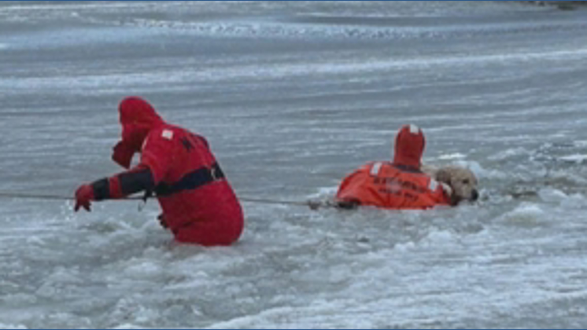 Dog rescued from icy pond | wqad.com
