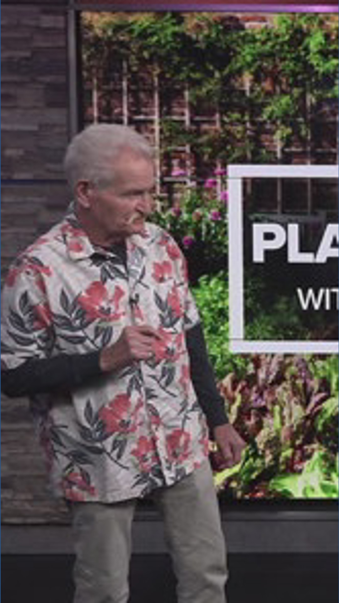 What trees are good to be planted near rivers? | Plants and Gardens ...