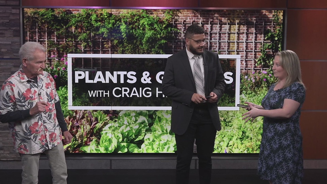 What trees are good to be planted near rivers? | Plants and Gardens ...