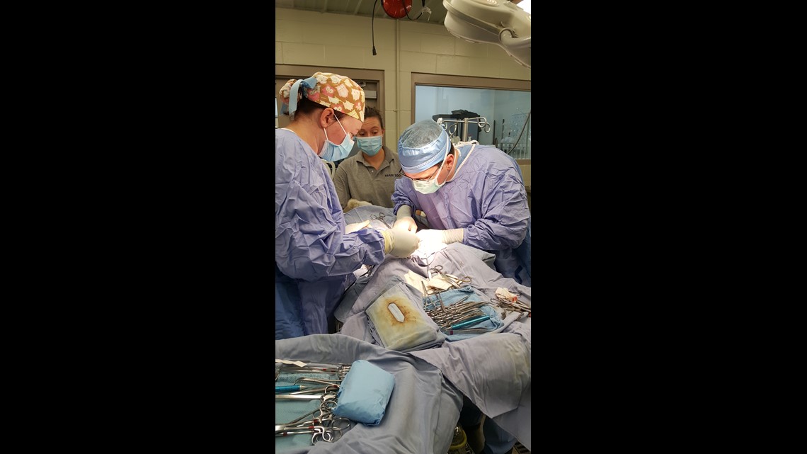 "People" doctor performs surgery on monkey at Illinois zoo | wqad.com