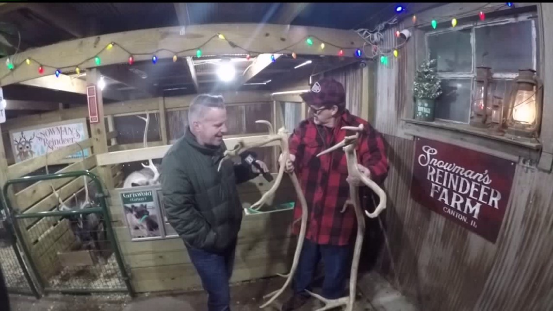 A Special Visit to Snowman`s Reindeer Farm in Canton, Illinois: Part 2 ...