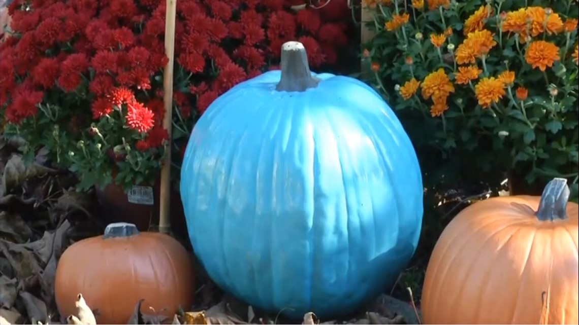 Food allergies? Look for teal pumpkins while trick-or-treating | wqad.com
