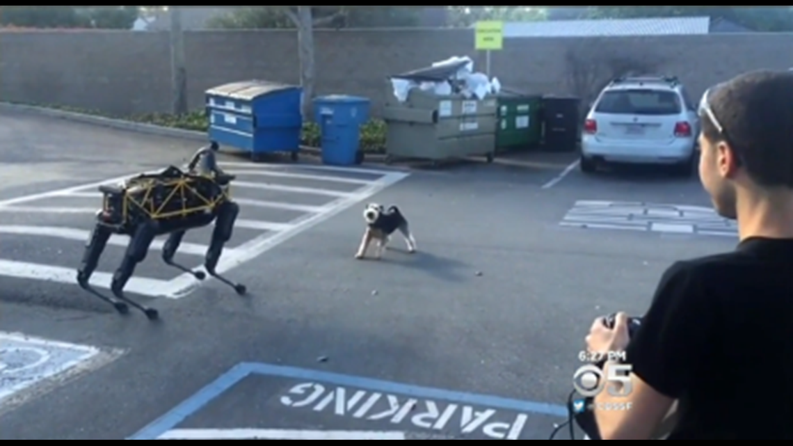 Fido vs. Spot the robot sparks conversation | wqad.com