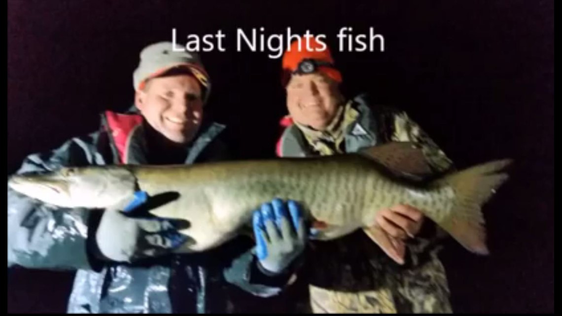 Massive 47-pound musky caught nearly 25 years after it was stocked into ...