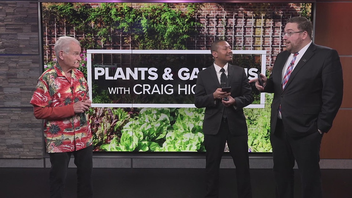 Best houseplants for winter | Plants and Gardens with Craig Hignight ...