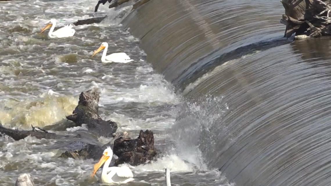 Morgan Strackbein | wqad.com