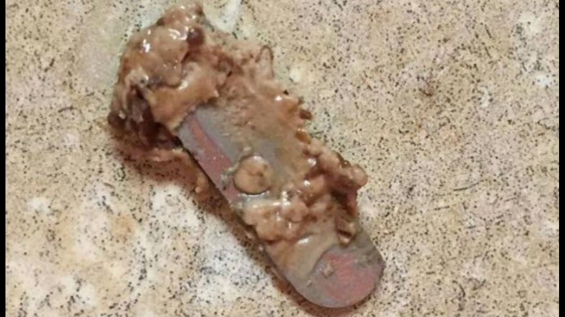 13-year-old injured after biting into razor hidden in Halloween candy ...