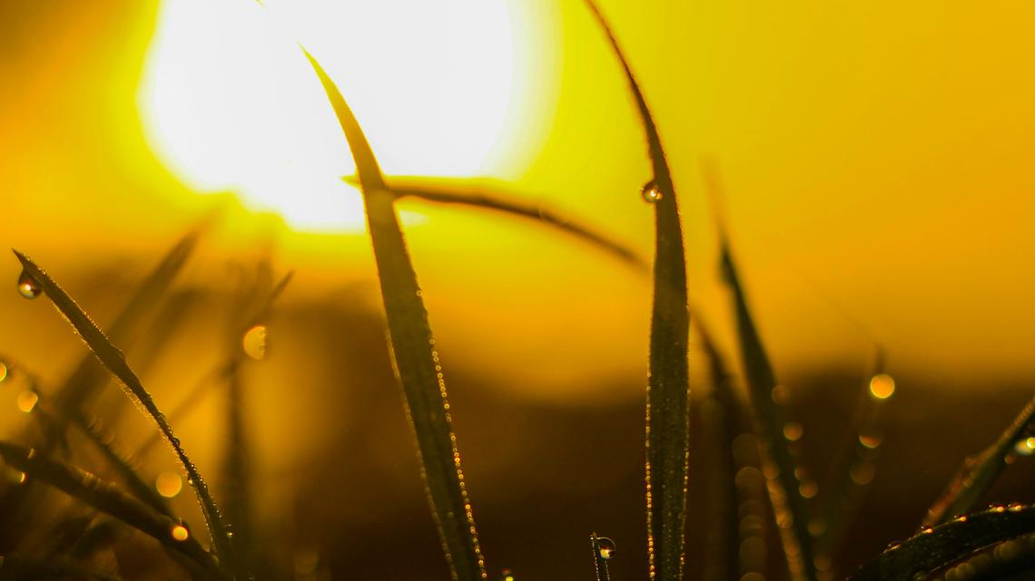 Why morning humidity is higher than dew point | wqad.com