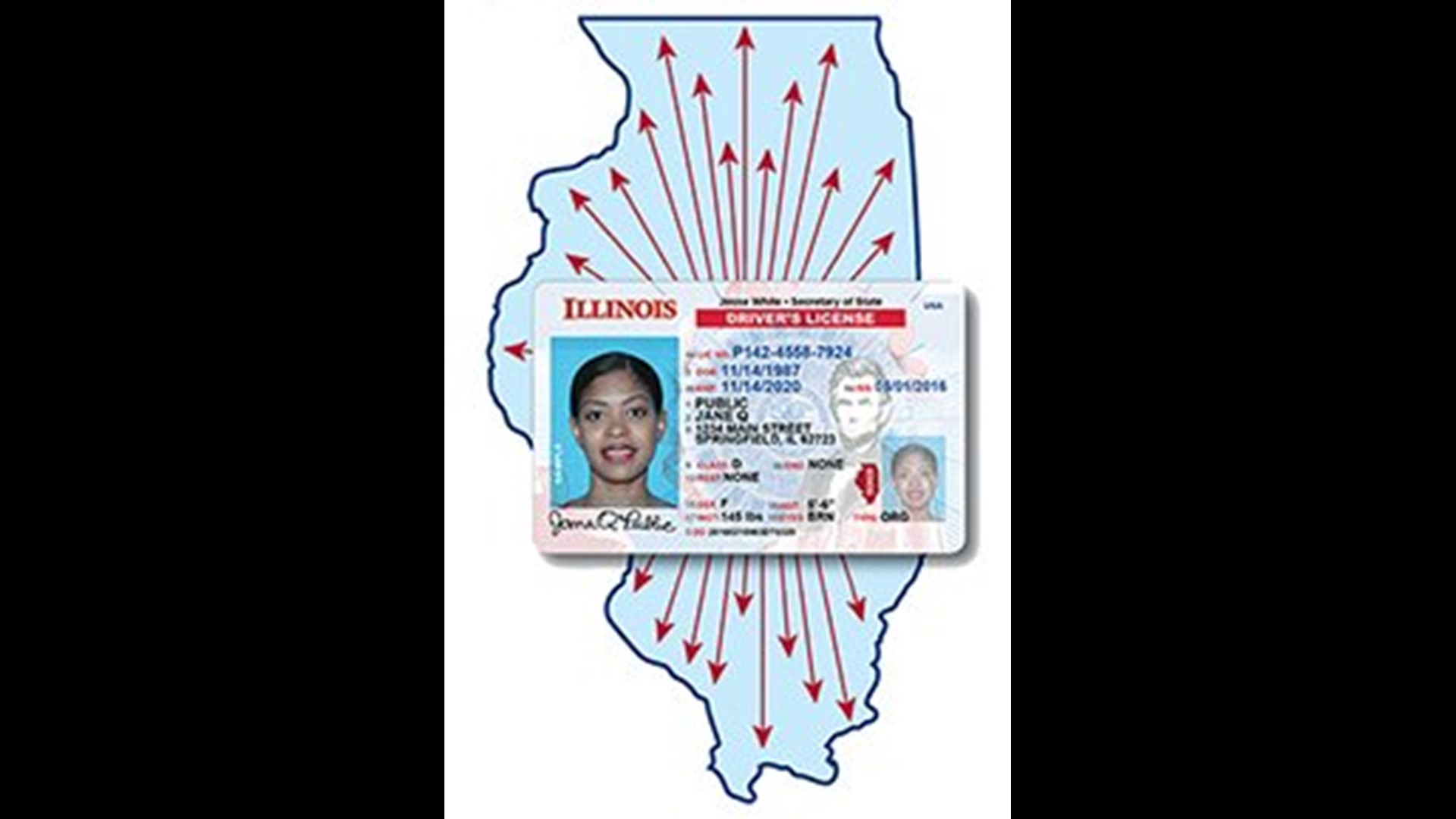 No more immediate driver’s licenses or IDs issued in Illinois | wqad.com