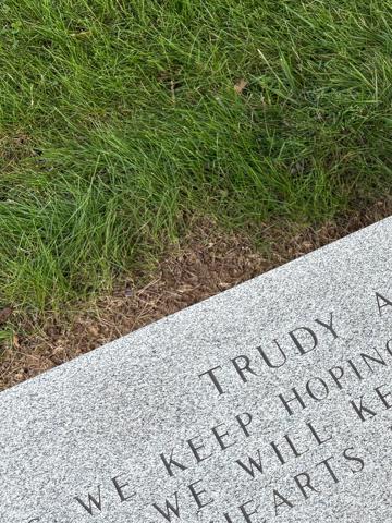 Trudy Appleby's disappearance: Suspect arrested | wqad.com