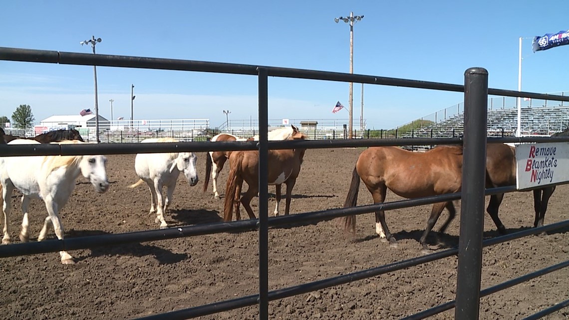 Generations of families help run New Windsor Rodeo | wqad.com