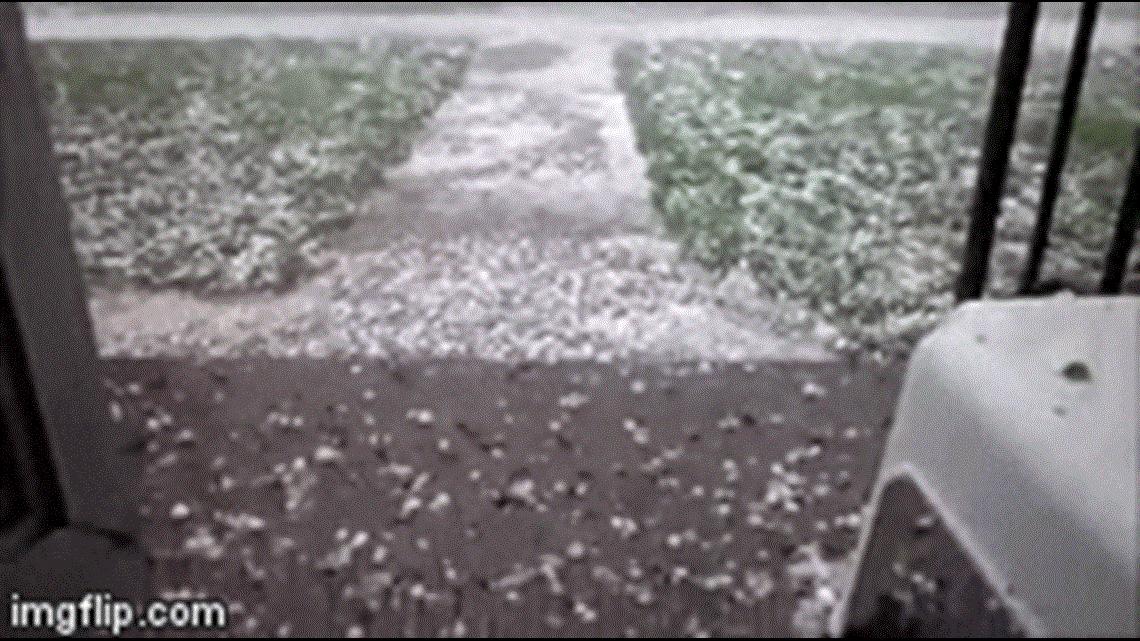 Damaging hail reported in Clinton, Iowa | wqad.com