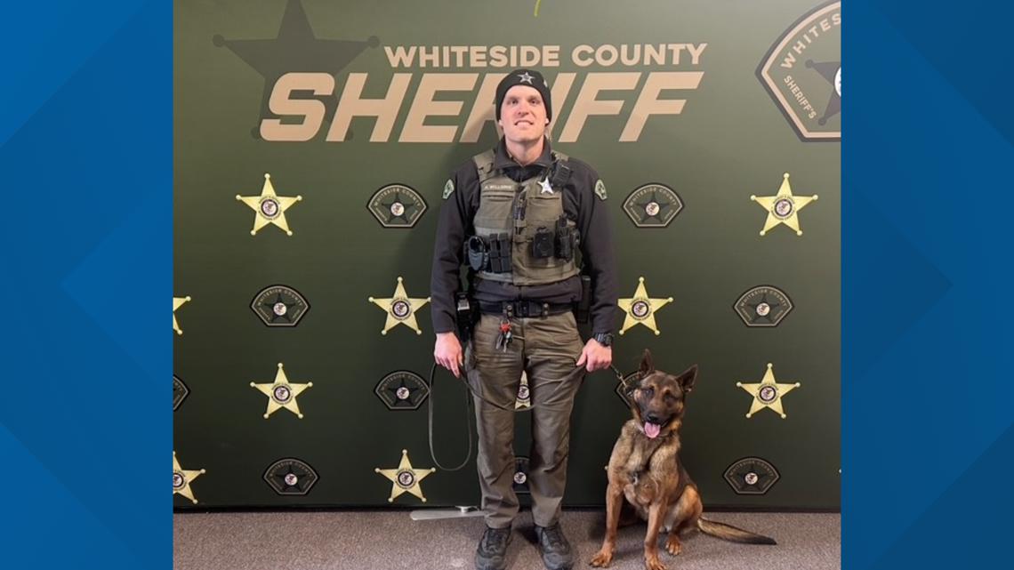 Whiteside County Sheriff's Office welcomes new K9 officer | wqad.com