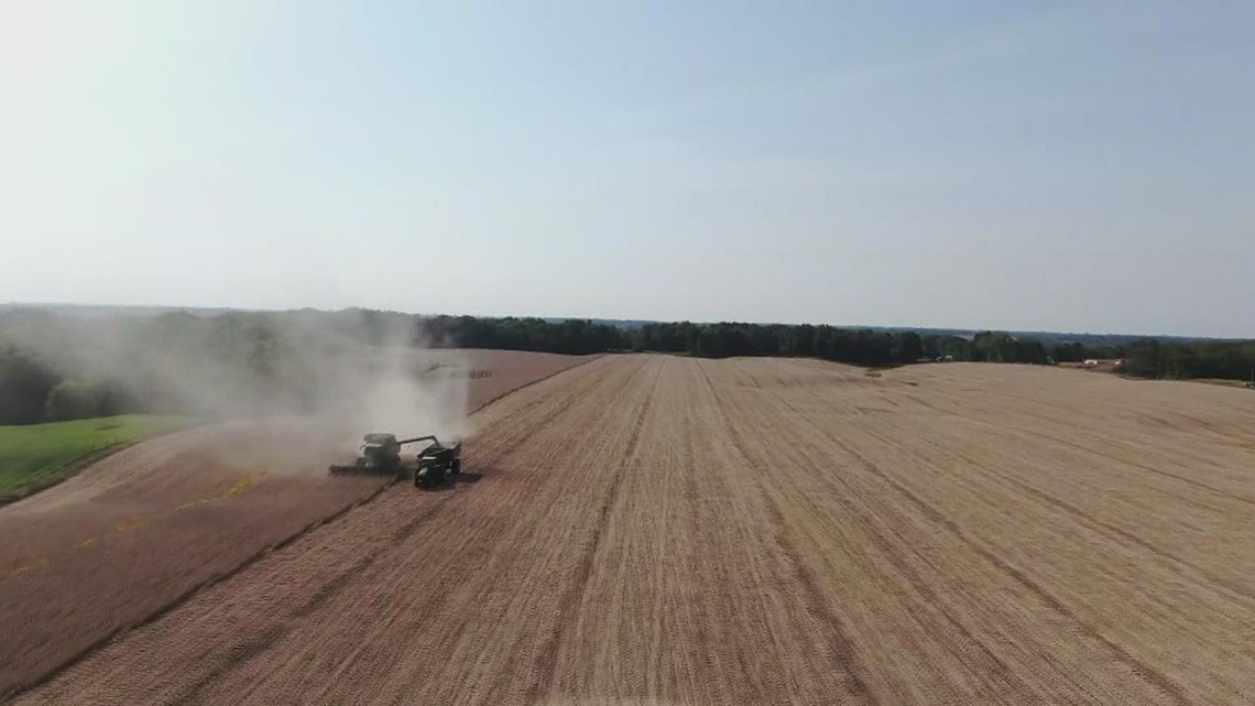 Illinois farmer says soybean harvest is early and above average | wqad.com