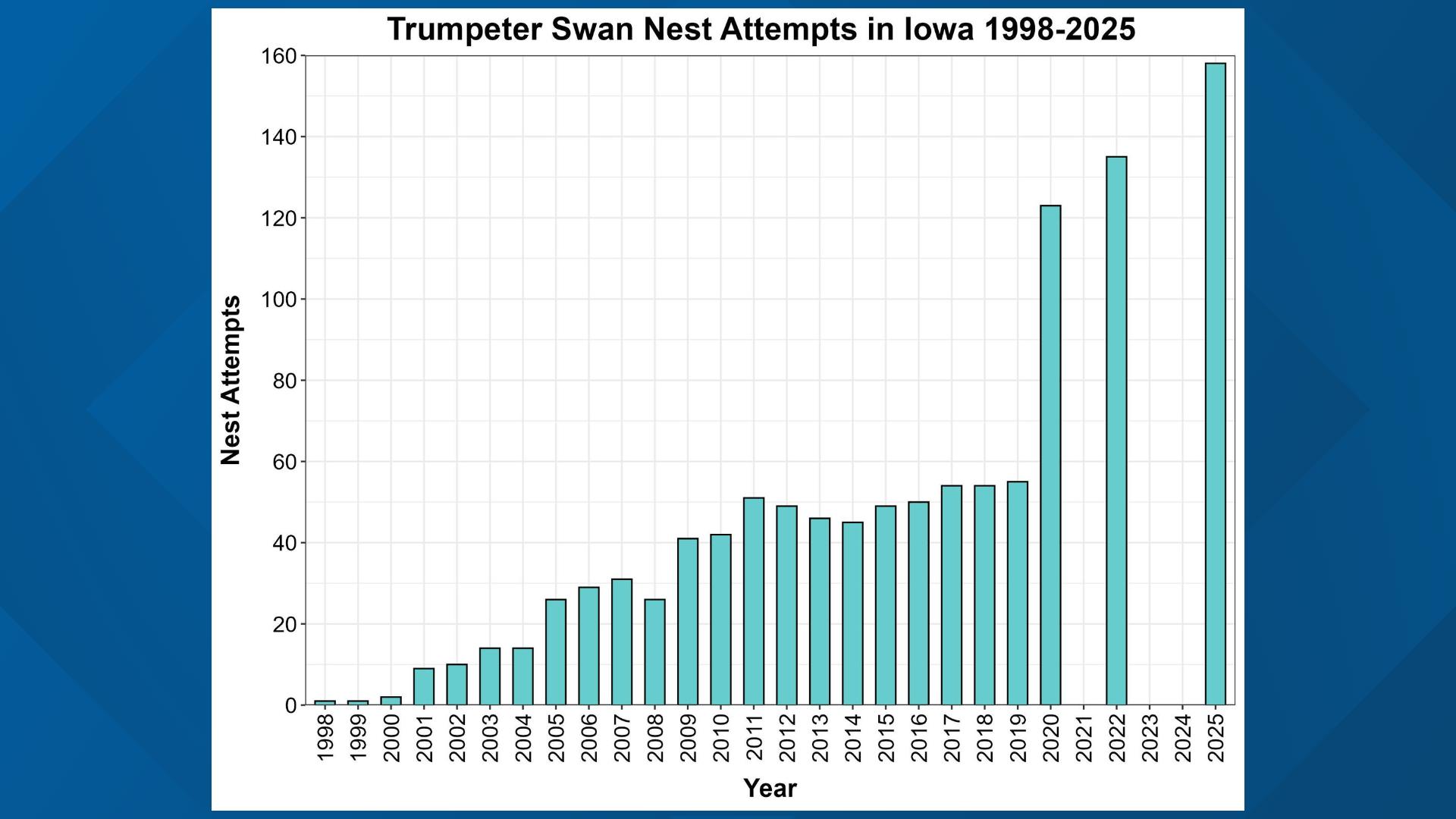 Iowa’s Trumpeter swan population reaches record nesting levels | wqad.com