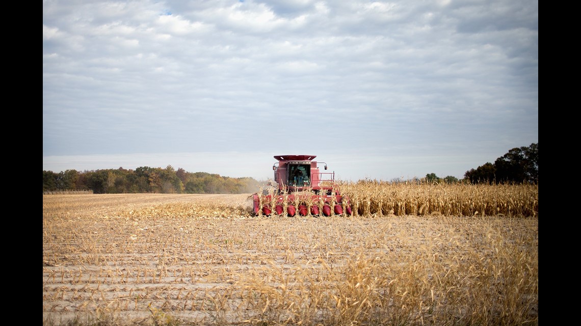 Today is National Iowa Day- whats so special about the Hawkeye State ...