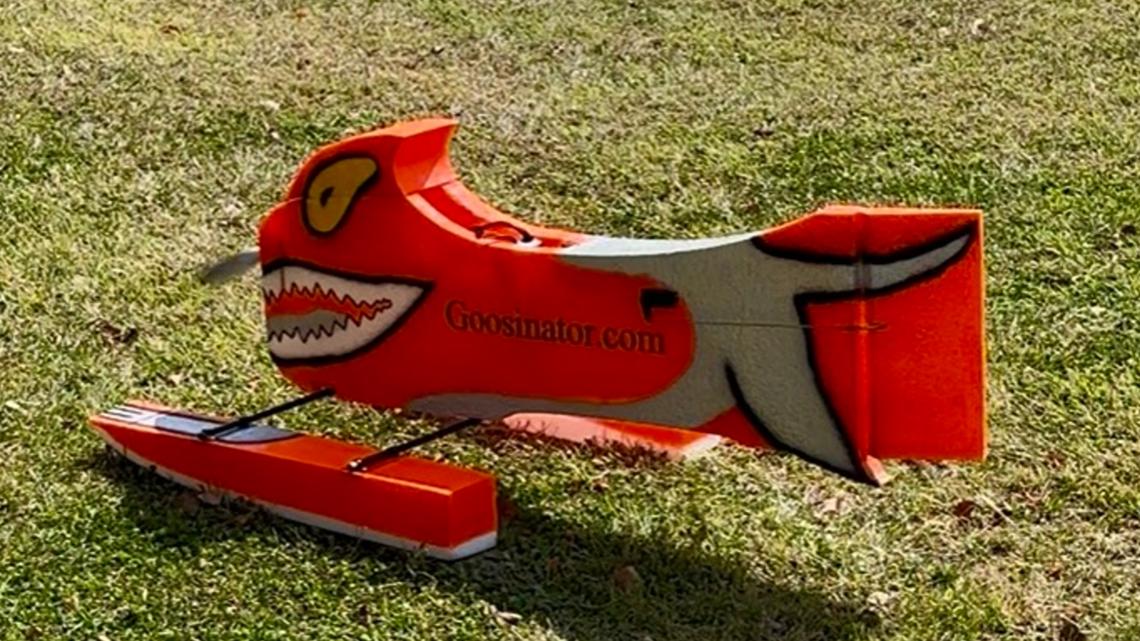 Moline to deploy 'Goosinator' to help keep geese out of local parks ...