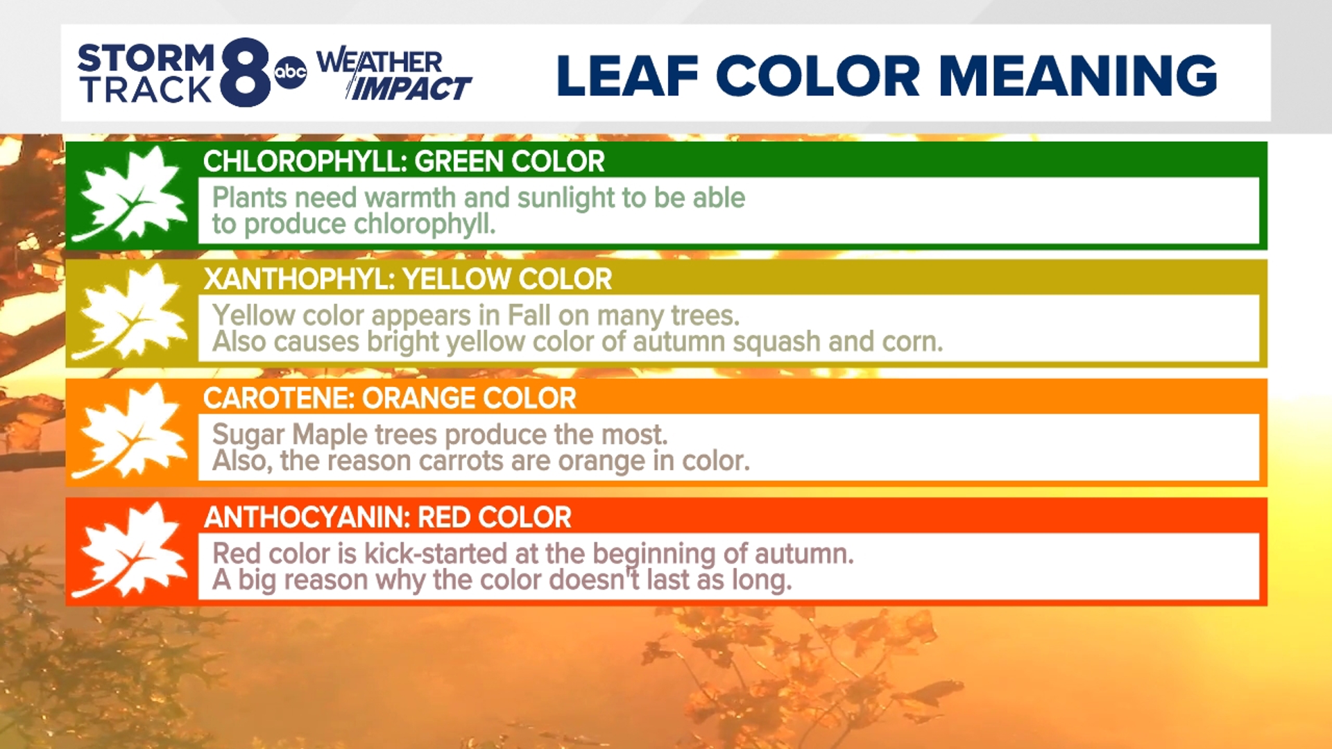 Where to find fall colors in the Quad Cities | wqad.com