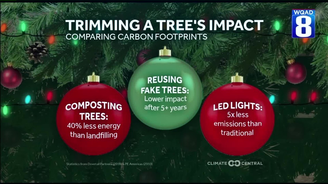 The science behind the Christmas tree debate: Is it better to buy real ...