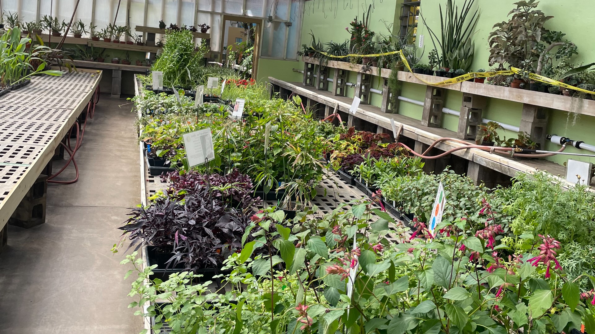 Last day of Friends of Vander Veer plant sale is May 5 | wqad.com