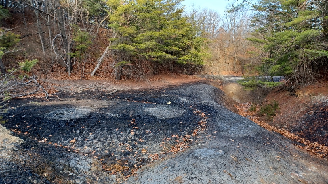 The site of an abandoned Iowa coal mine is being reclaimed by DNR | wqad.com