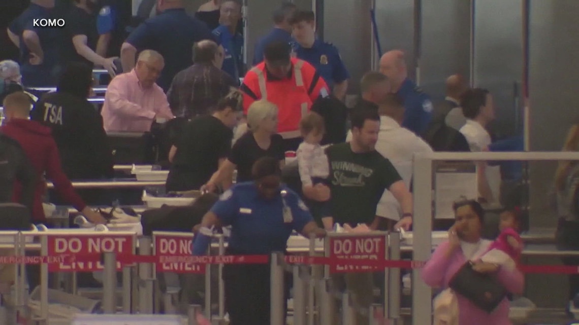 Delta Airlines grounds flight in Seattle after finding stowaway on ...