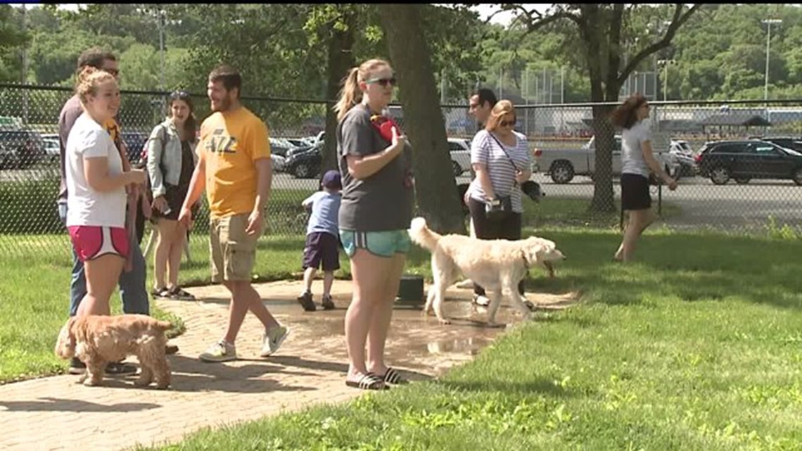 Dog park renamed to honor former board member | wqad.com