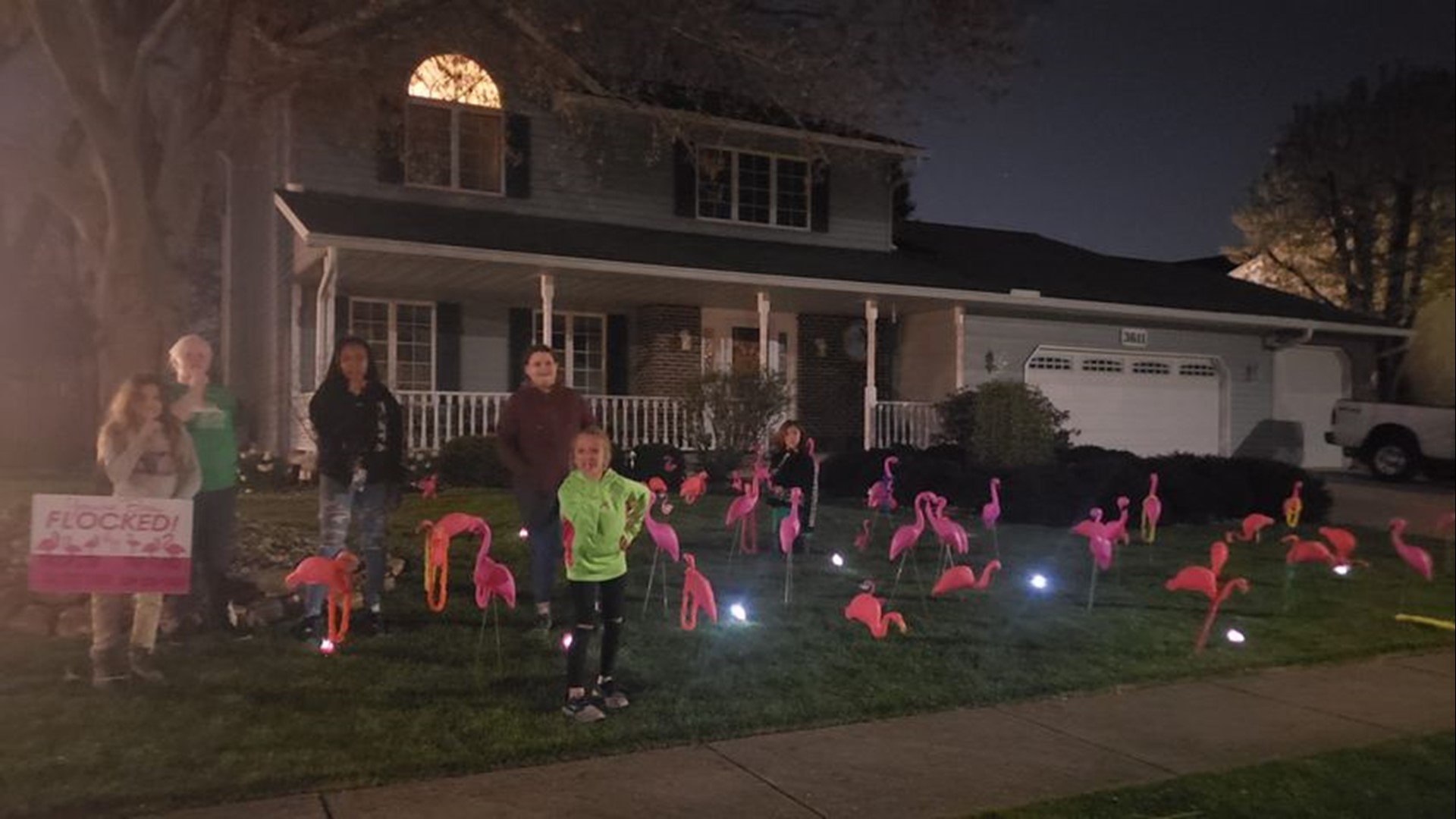 A girl scout troop is behind several yards full of pink flamingos ...