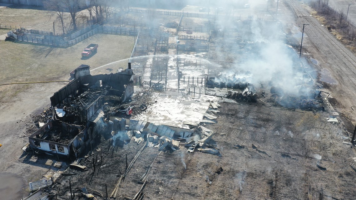 22 cows saved, 1 bull dead in massive Rock Island fire | wqad.com