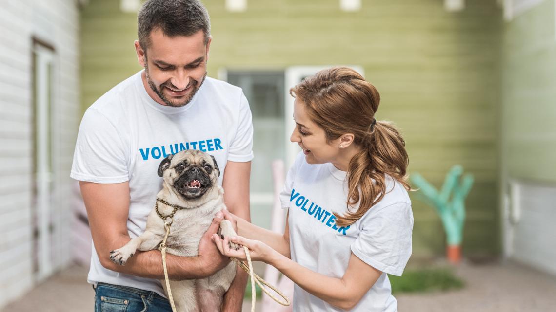 Quad City Animal Welfare Center seeking for volunteers | wqad.com